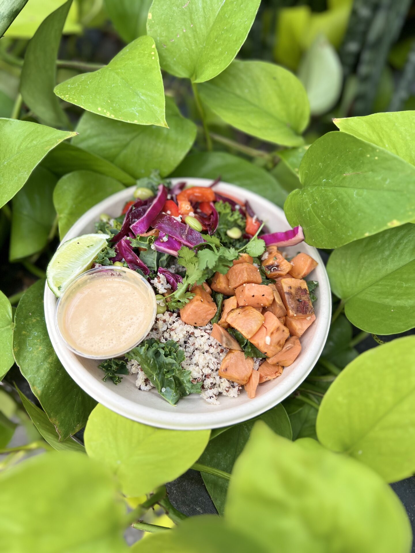 Menus - Alexa’s Cafe & Catering